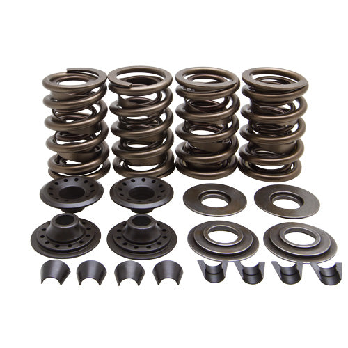 Lightweight Racing Evolution™ Valve Spring Kit .655" Lift| Goodson ...